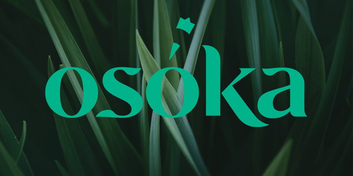 Portfolio - osoka.pro